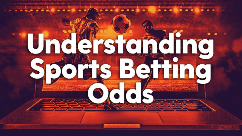 Solo prediction website - Solo predict