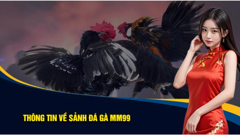 SoloPredict: Accurate Football Predictions & Free Betting Tips